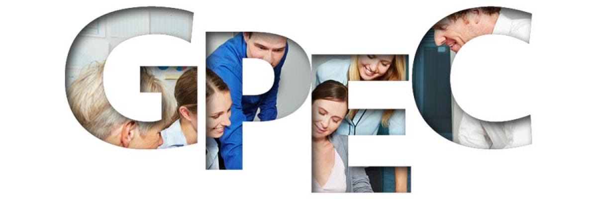 LA GPEC (la gestion prévisionnelle des emplois et des compétences ...
